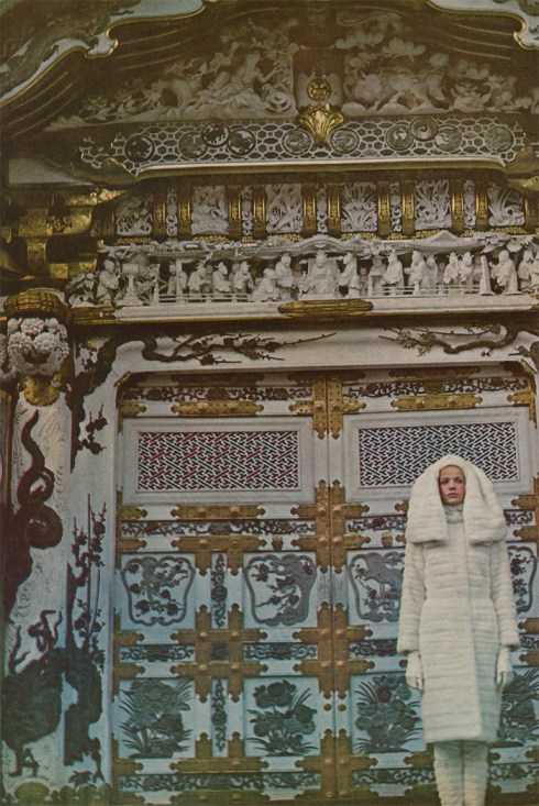 Veruschka in perhaps the Most Epic Fashion Story